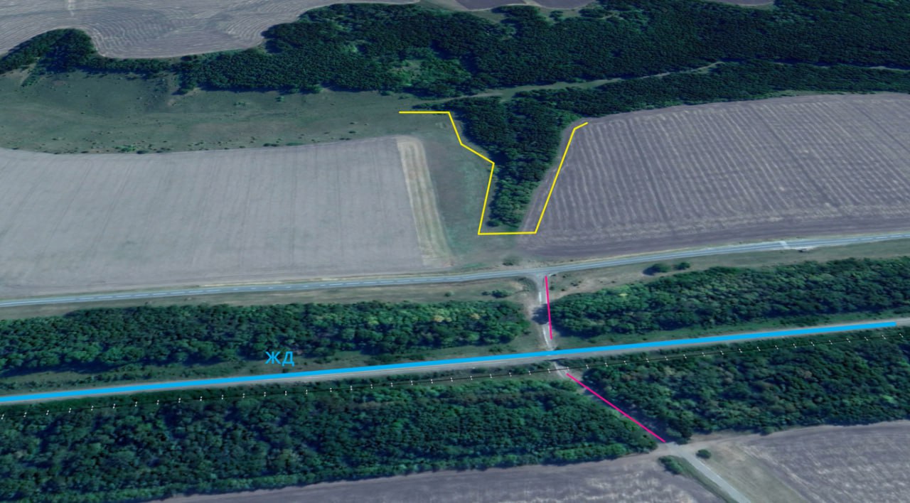 Telegram channel "Weeb Union" — @weebunionwar — TGStat